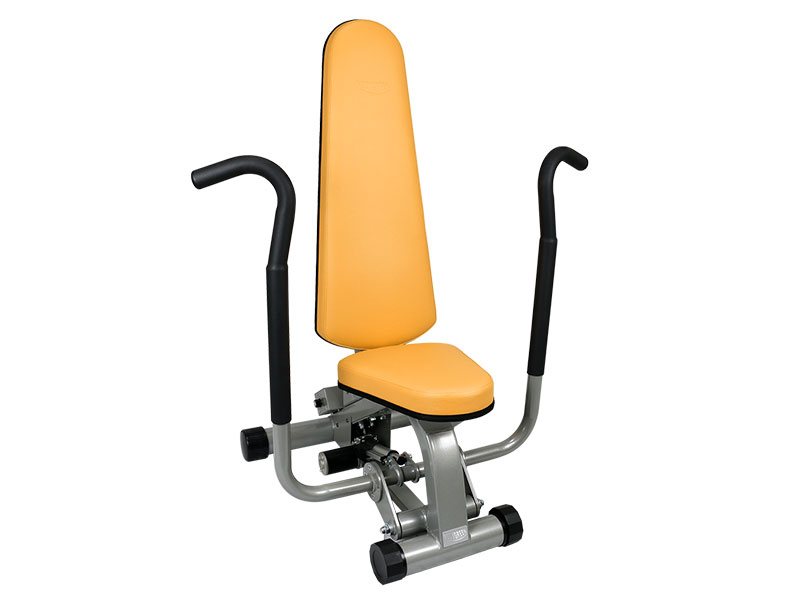 CHEST PRESS AND SEATED ROWING MACHINE | Physiomedonline